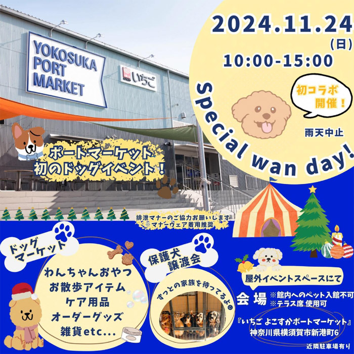 【神奈川県】Special wan day! at よこすかポートマーケット 2024年11月24日(日)開催イベント情報