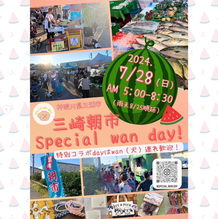 【神奈川県】三崎朝市 Special wan day! 2024年7月28日(日)開催イベント情報